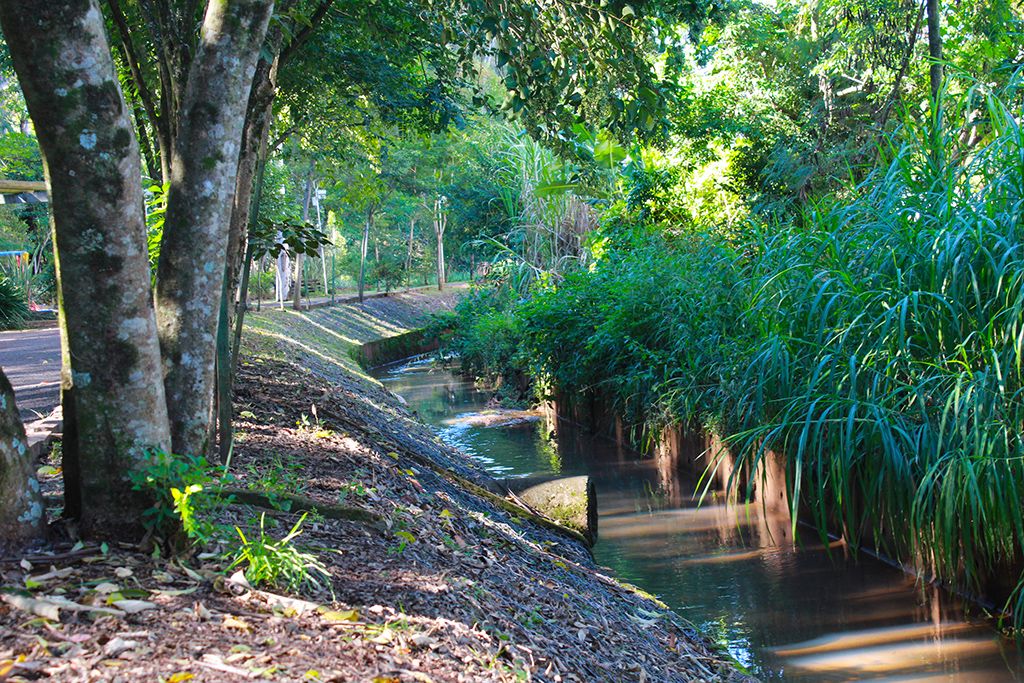 Você conhece os rios que estão sob nossos pés? - Diário do Iguaçu ...